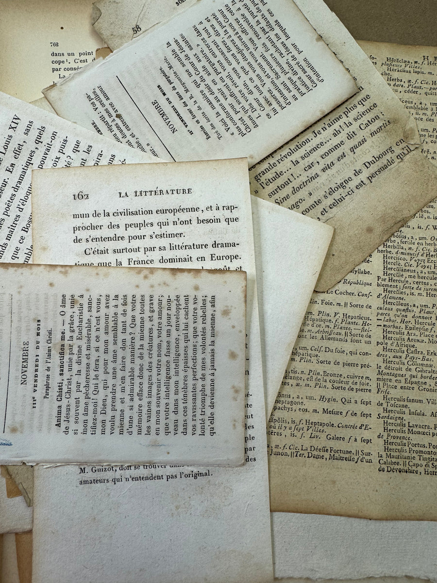 French Book Pages set of 50 – ellen j goods